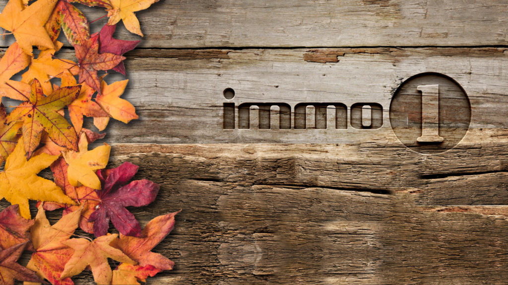 Főoldal | Immo1 Ingatlan - A minőség számít!